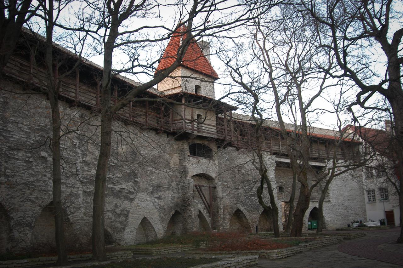 Taani kuninga aed - Tallinn